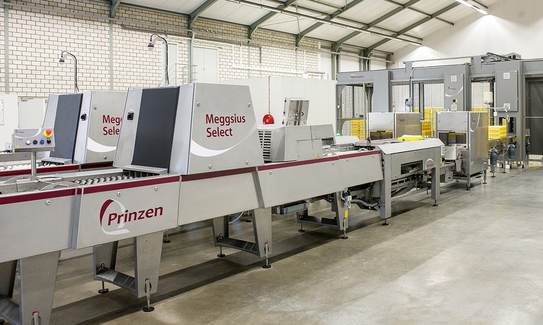 Meggsius Select - Vencomatic Group